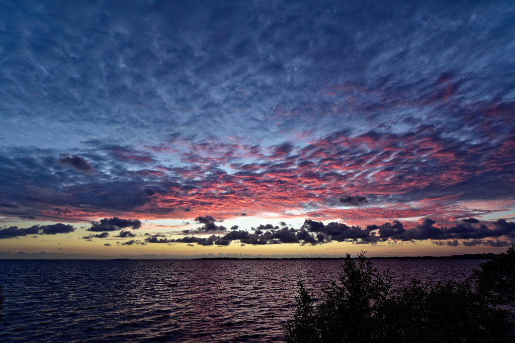 Signs of Life by iGɘorgɘ | 500px