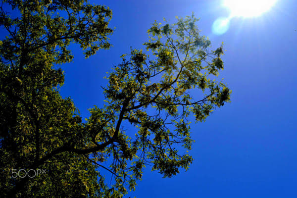 Crisp Clear Day @ Bear Mountain, NY-1 by Srinivasan Venkatarajan | 500px