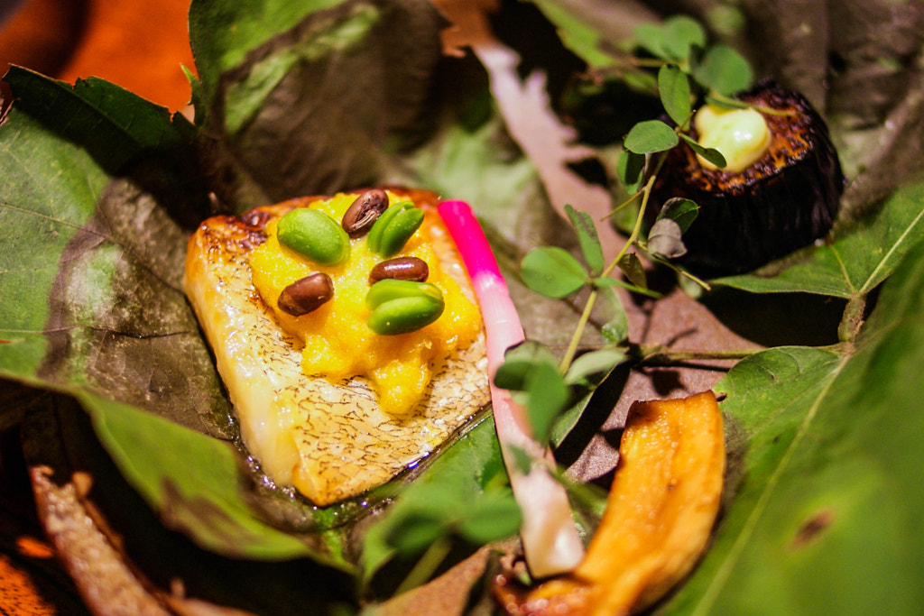 Authentic Japanese Food presentation by Toshihiro (Bill) Shoji / 500px