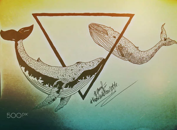 Worldview In The World's Photos & Galleries | 500px