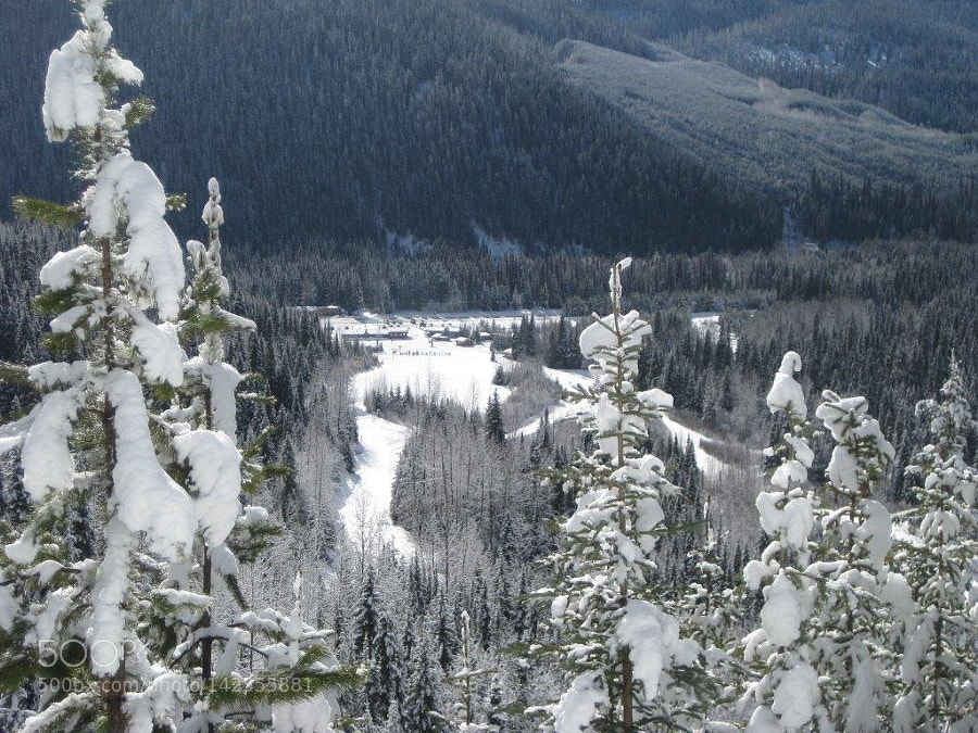 GALLERY | Troll Resort