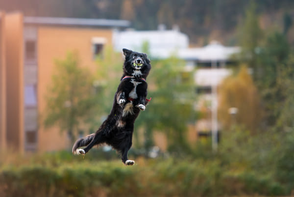 I got it! by Lukasz Redzio | 500px