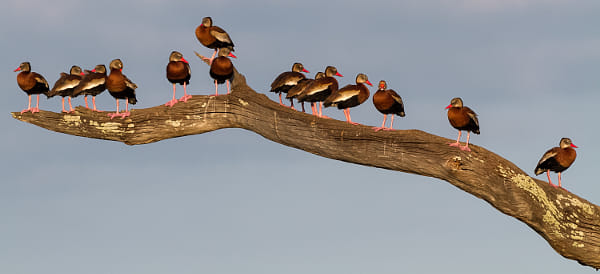 Boiling Point by Anton Gorlin | 500px