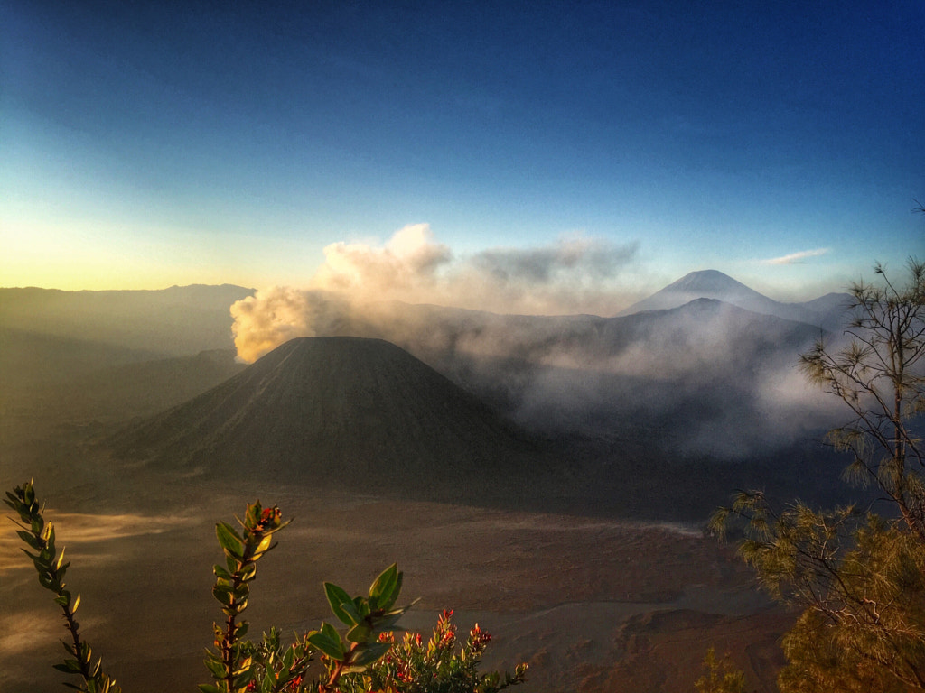 Mount Bromo by David Lund | 500px