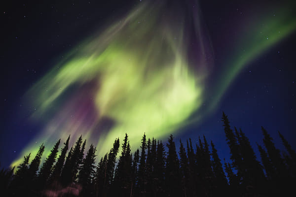 Northern lights, Alaska by Jikai Wang | 500px