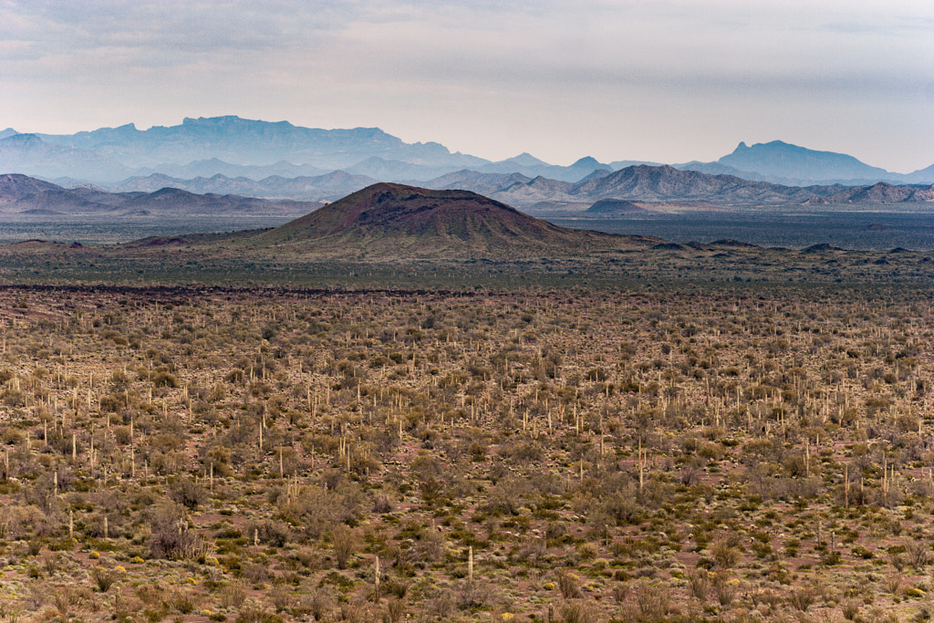 El Pinacate Desert by Mexico Stock Photos / 500px