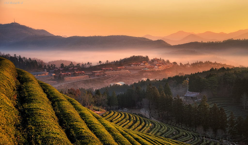 Dream by Jaewoon U / 500px