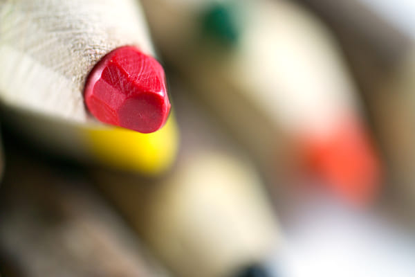 SAM_3252.jpg by Carlos Benigno | 500px