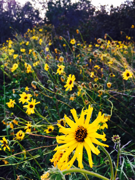 Gregory's Photos & Galleries | 500px