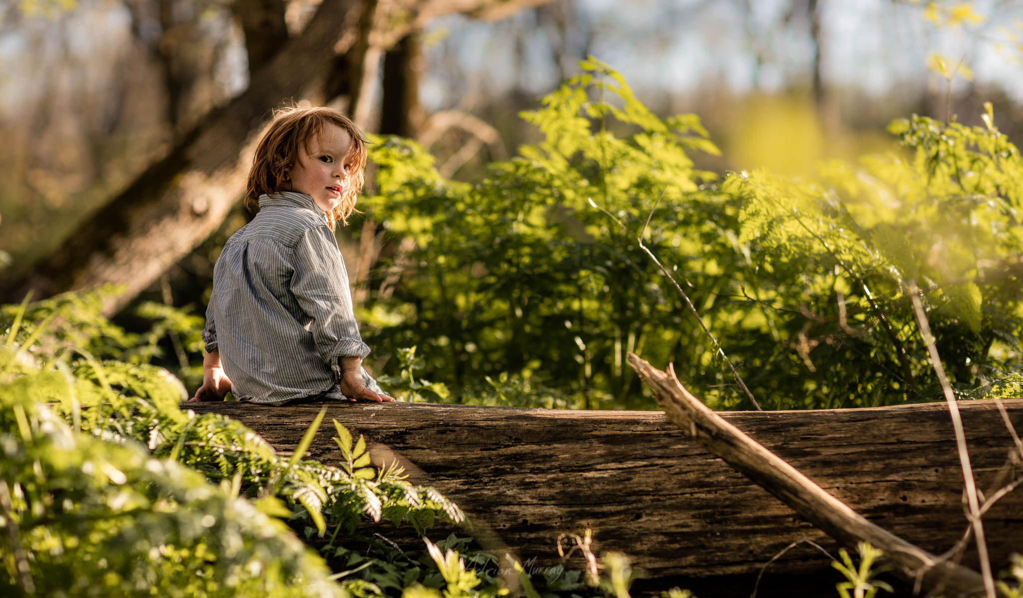 Bump on a Log by Adrian C. Murray | 500px
