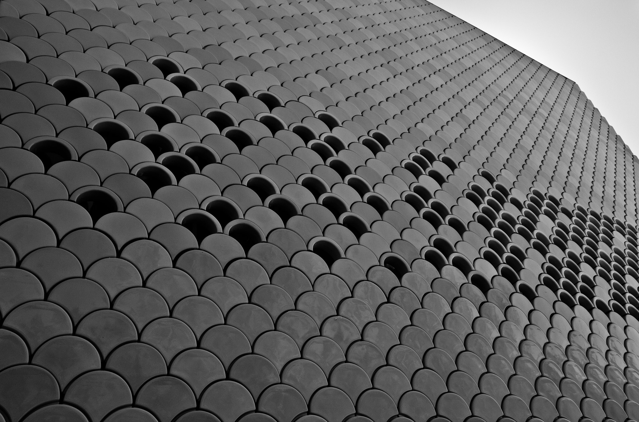Fish Scales Building by Nuno Sousa / 500px