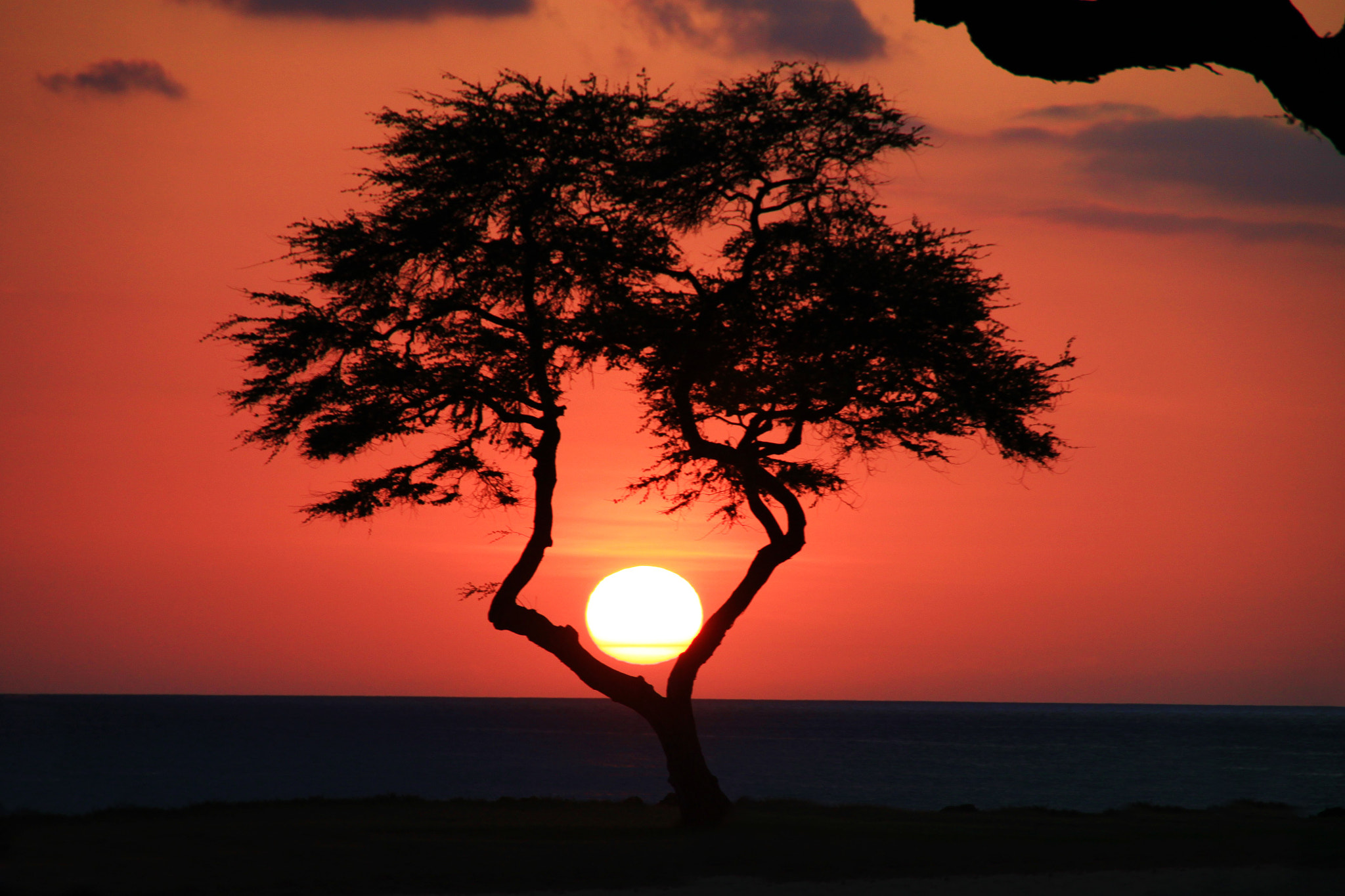 Nanakuli Beach Park Sunset with Tree by thehippiearmywife Honolulu, HI ...