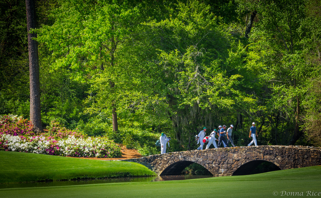 The Nelson Bridge at Augusta National by Donna Rice / 500px