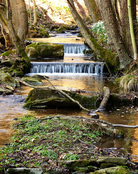 Chlébský potok by Jiří Němeček | 500px