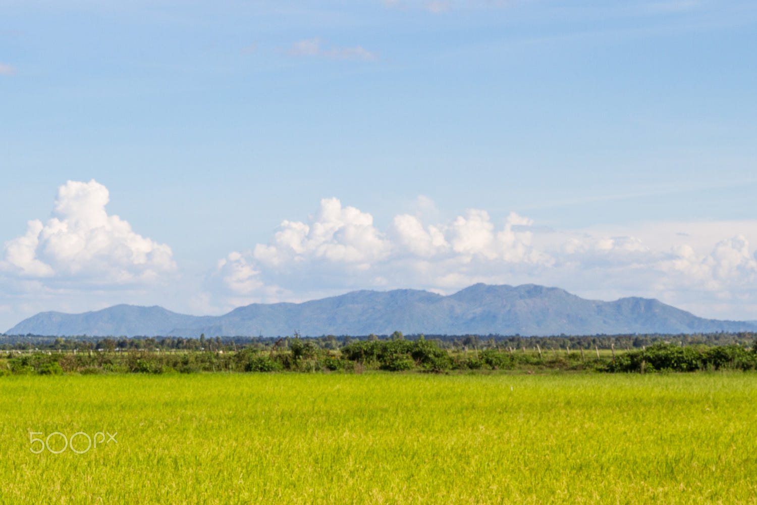 MOUNT KILIMAMBOGO by abdallah agil / 500px
