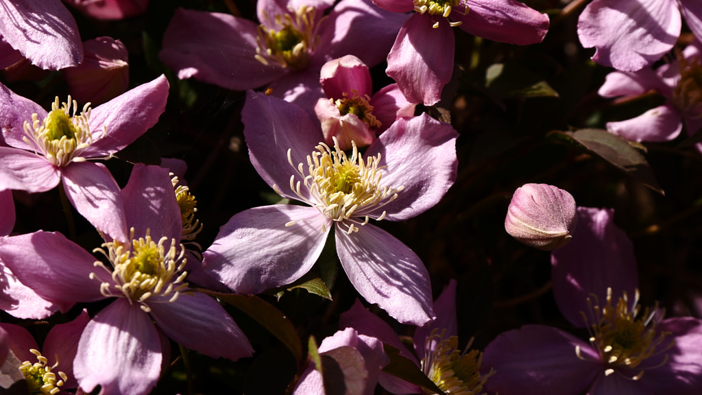 Test image of the first day with my camera by Mike Rood / 500px