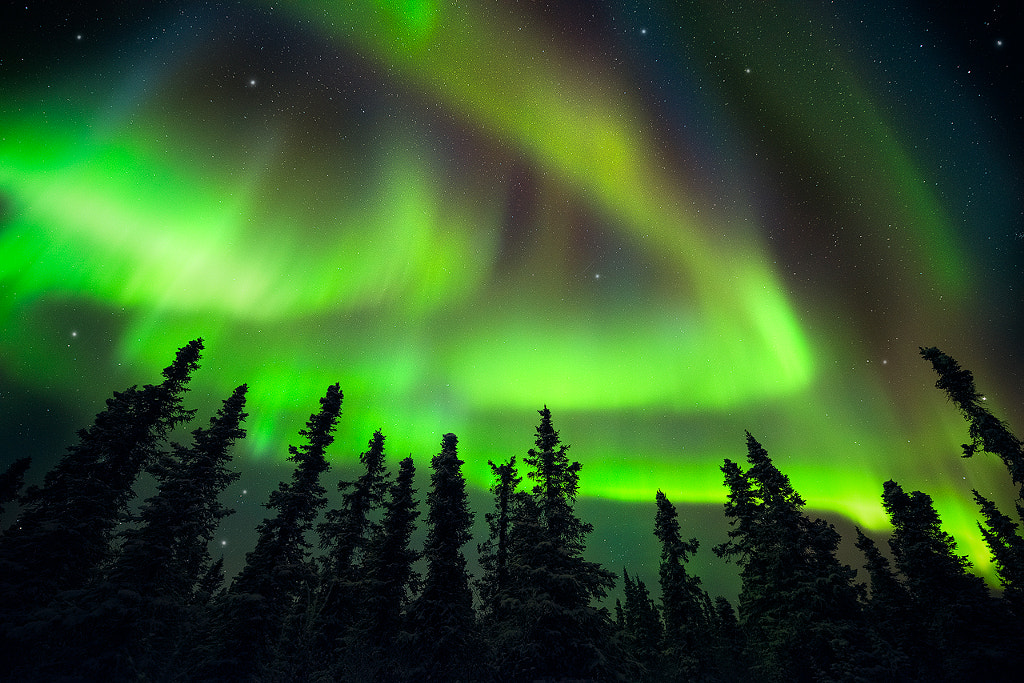 Dave Morrow (DaveMorrow) Photos / 500px