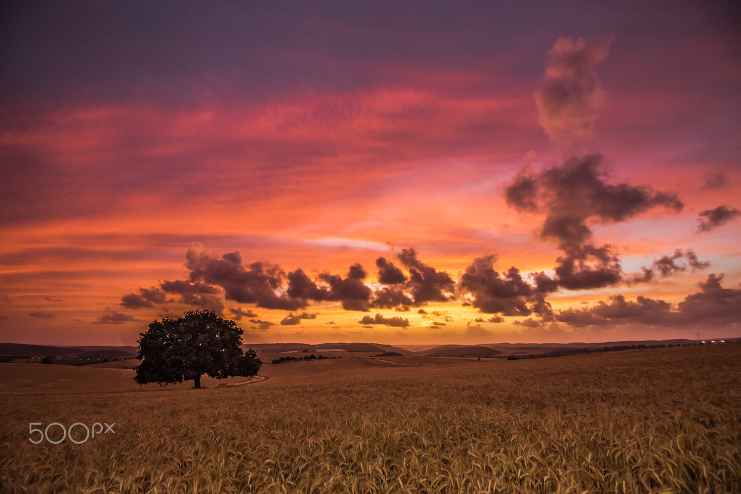 Magic Nature by Isam Telhami / 500px