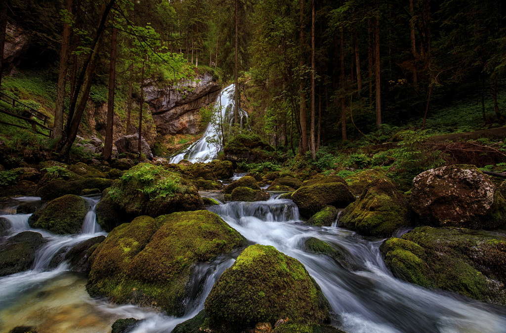 Amazing Waterfall by Andy Donath / 500px