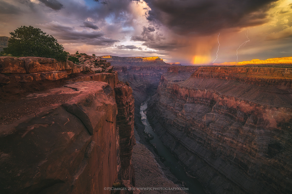What Dreams Are Made Of by Peter Coskun Nature Photography / 500px