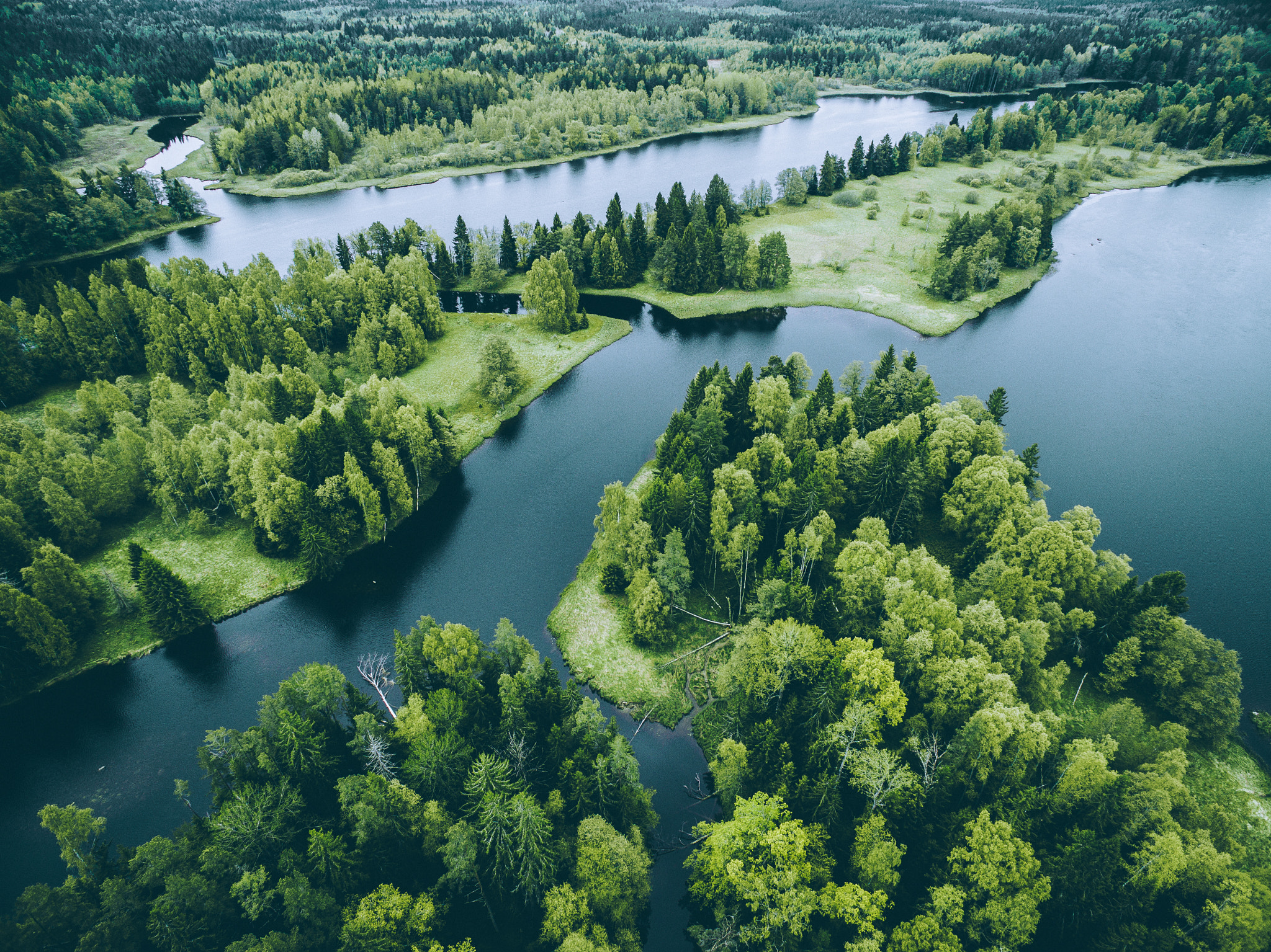 Mighty forests of Sweden by Tobias Hägg / 500px