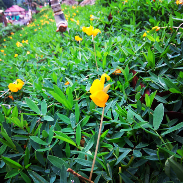 Able Chacko's Photos & Galleries | 500px