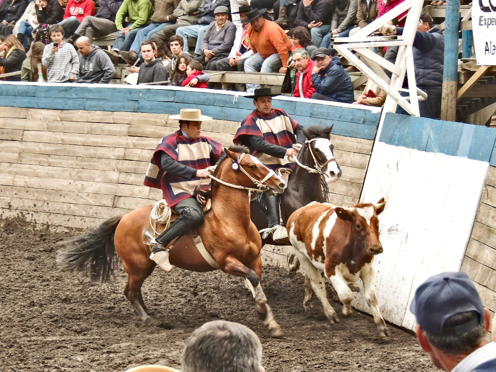 Chilean Rodeo by Patricio Mecklenburg / 500px