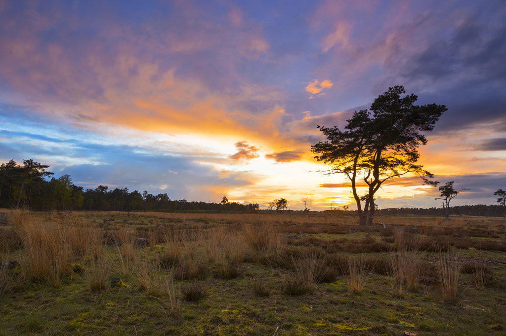 Sunset Drunense Duinen by Eimar Kranendonk / 500px