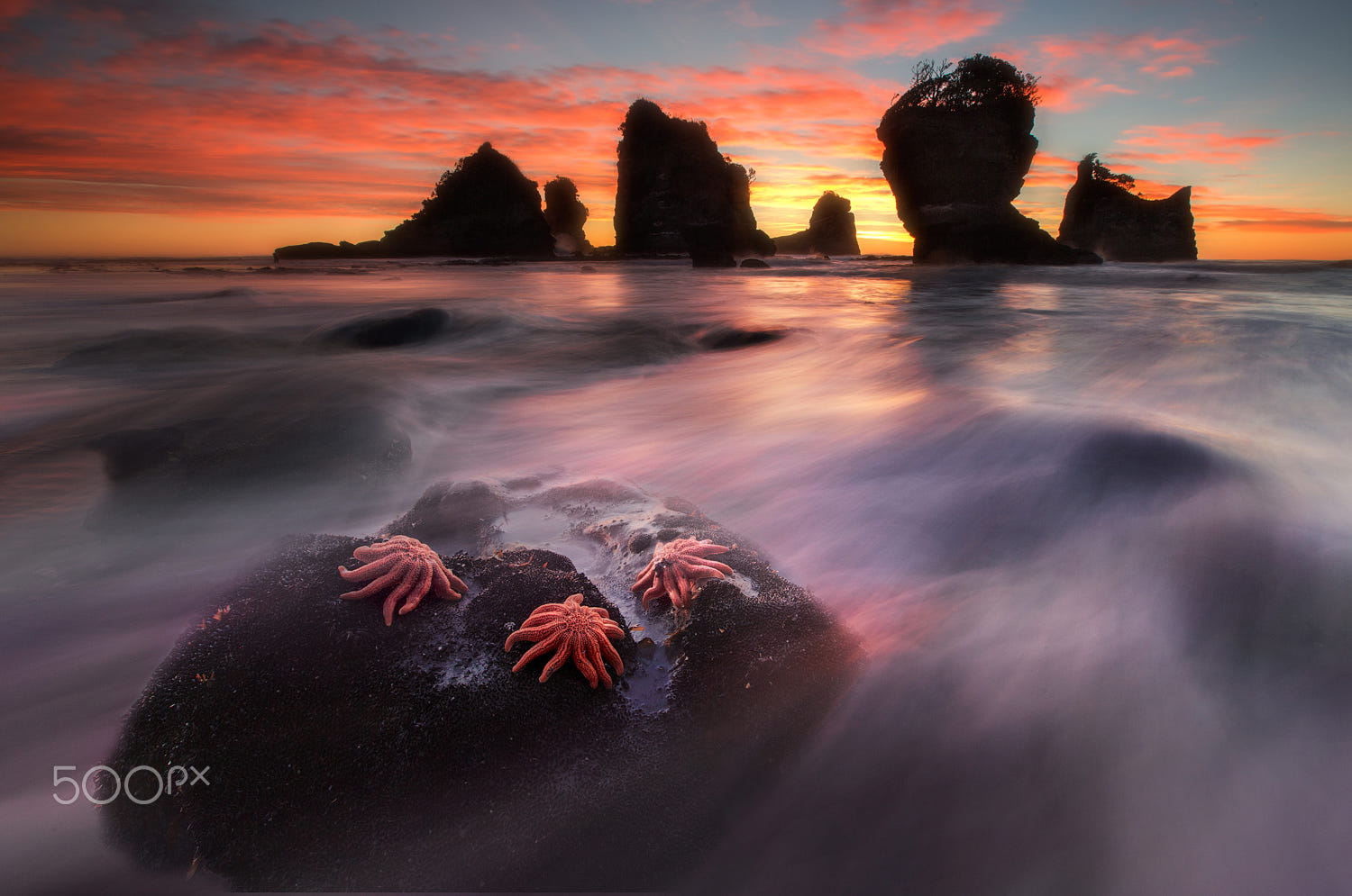Blood Sport by Christian Lim / 500px