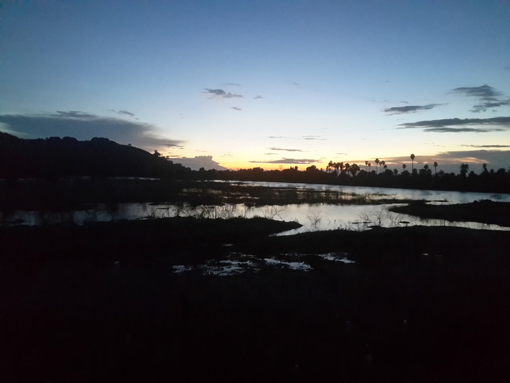Dusky Sun Set behind the Lake and the Palm Trees assure restfulness by ...