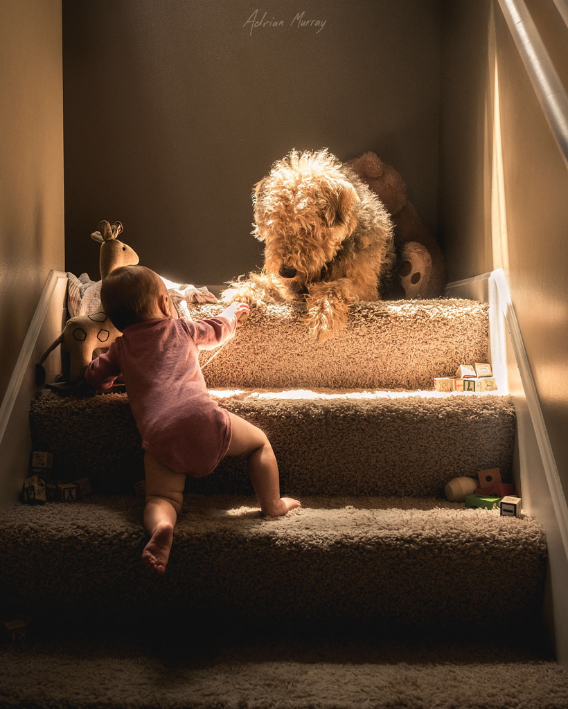 Courage to Climb by Adrian C. Murray / 500px