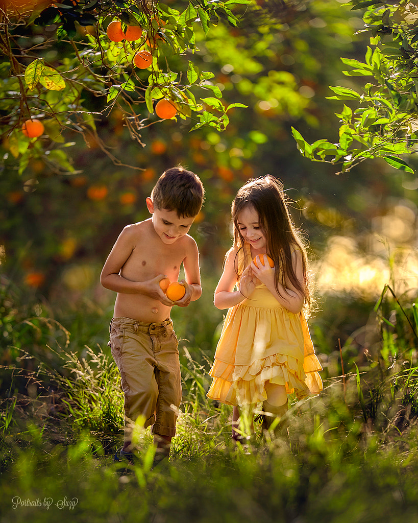 Summer Treasure by Suzy Mead / 500px