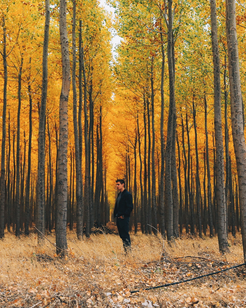 Hide in plain sight. by Nick Verbelchuk / 500px