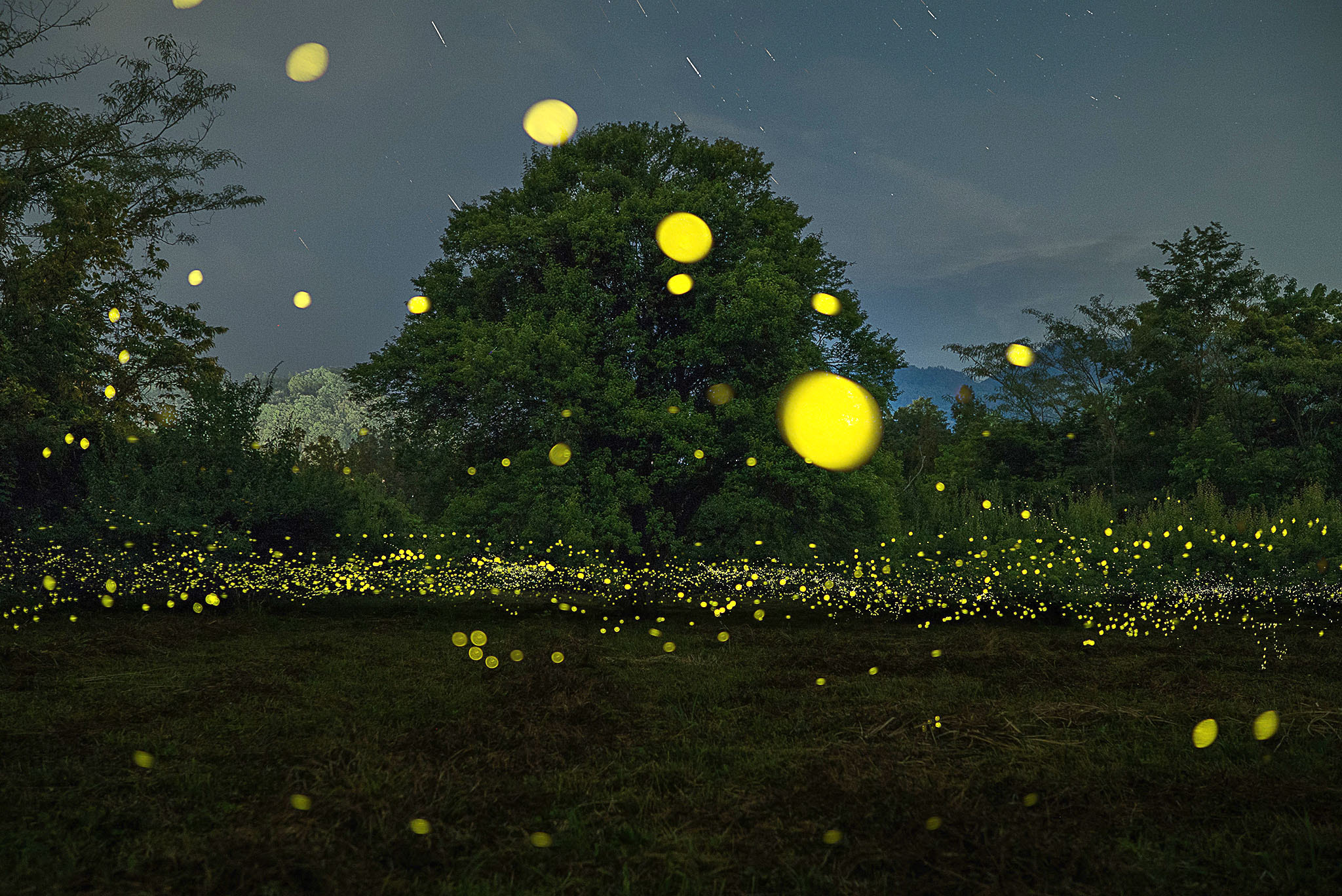 Stars on the ground by zabby / 500px