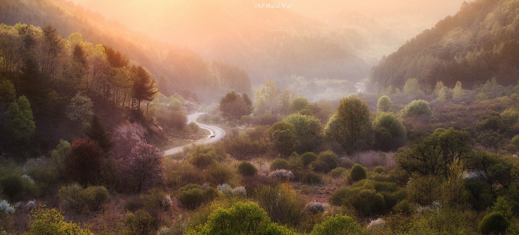 Morning walk by Jaewoon U / 500px