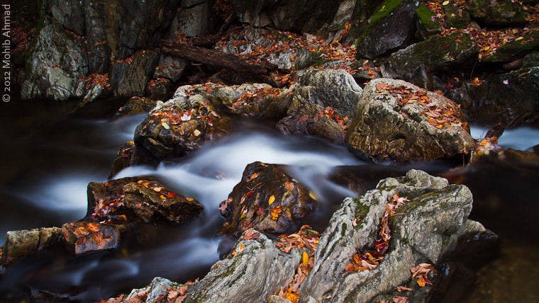 Let It Flow by Mohib Ahmad / 500px