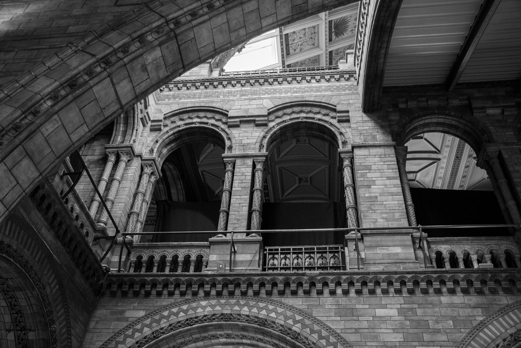 Natural History Museum by Gary Peak / 500px