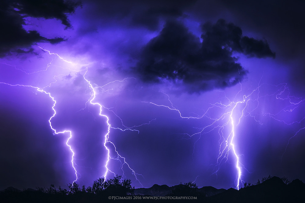 High Voltage by Peter Coskun Nature Photography | 500px