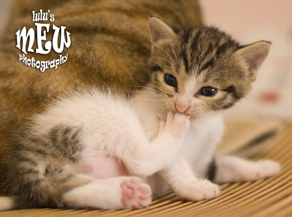 bambi lu's Photos & Galleries | 500px