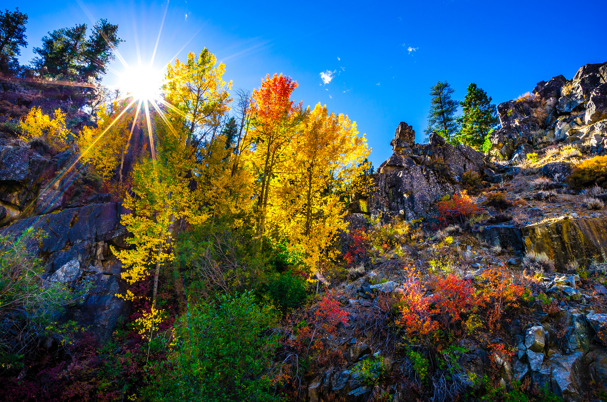 Sierra Nevada Fall Colors Lassen County California by Scott McGuire | 500px