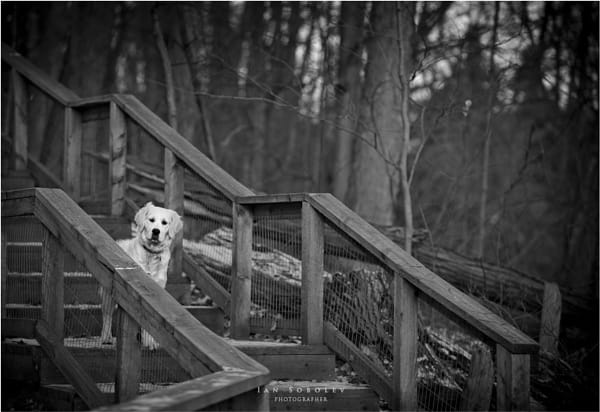 Any questions? by Ev Tchebotarev | 500px