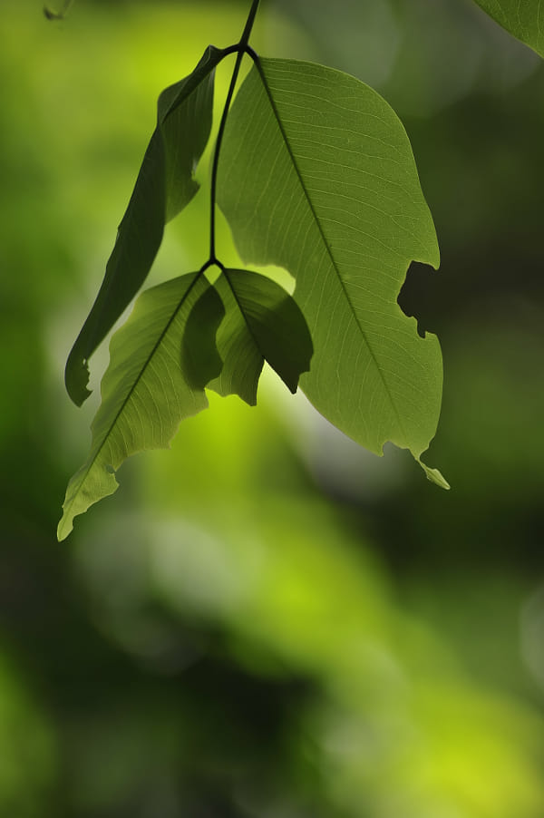 .. by Jack Liao | 500px
