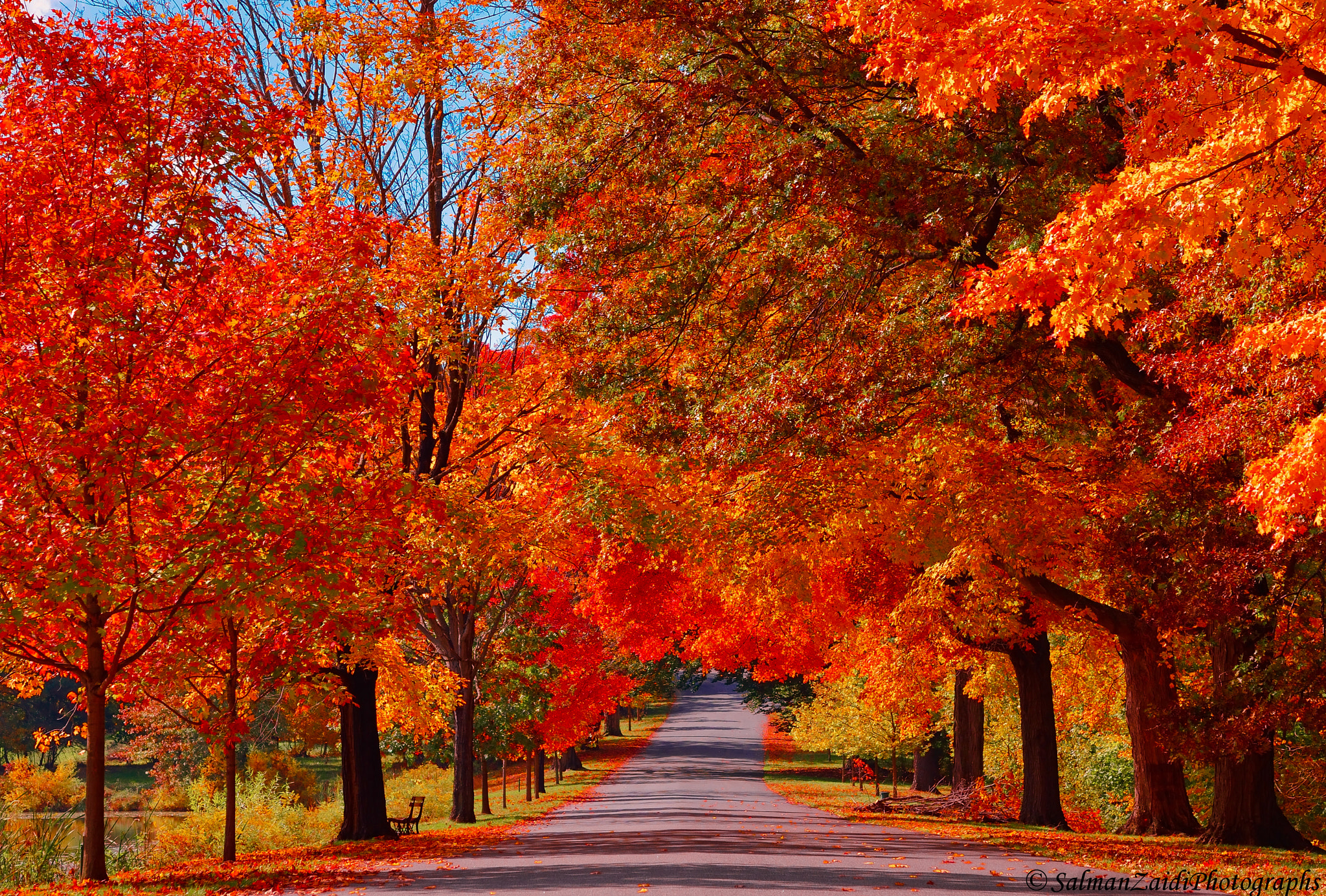 Colors of Fall by Salman Zaidi / 500px