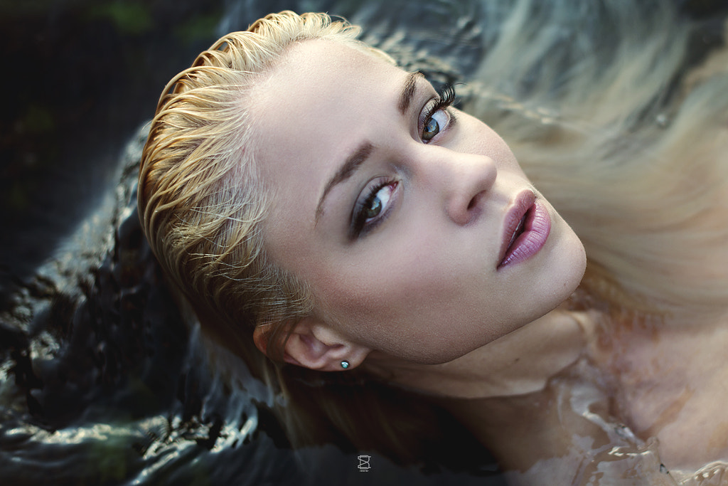 DSC d by Miroslav Belev / 500px