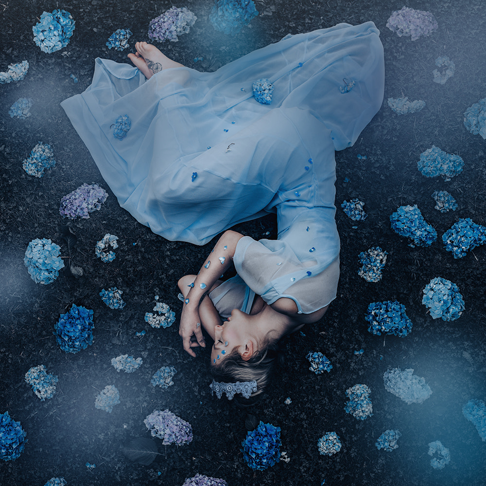 The Midnight Blossom by Ellie Victoria Gale | 500px
