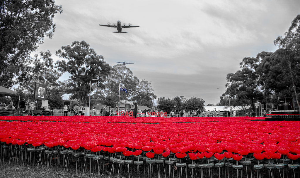 The RAAF flyover at the opening of Poppy Park in P ... by Simon Gould ...