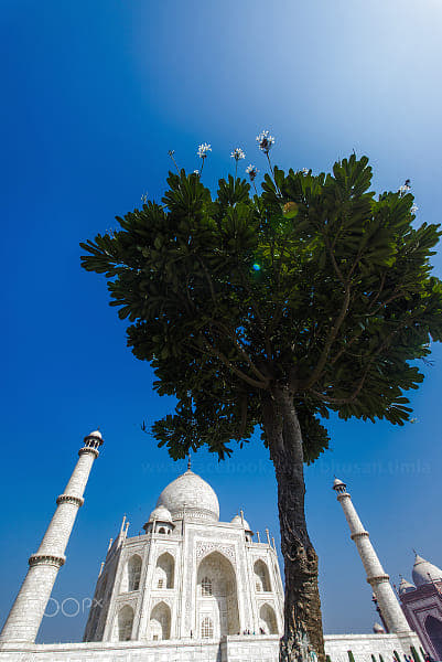 Taj Mahal from rare perspective by bhushan timla | 500px