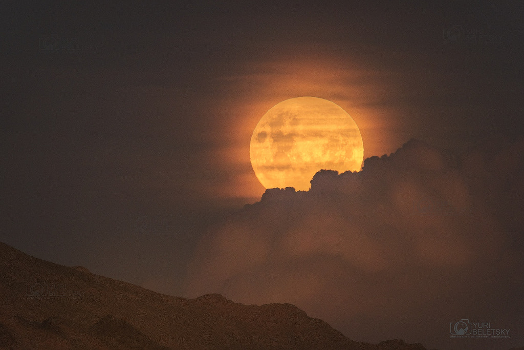 Golden Moon by Yuri Beletsky / 500px