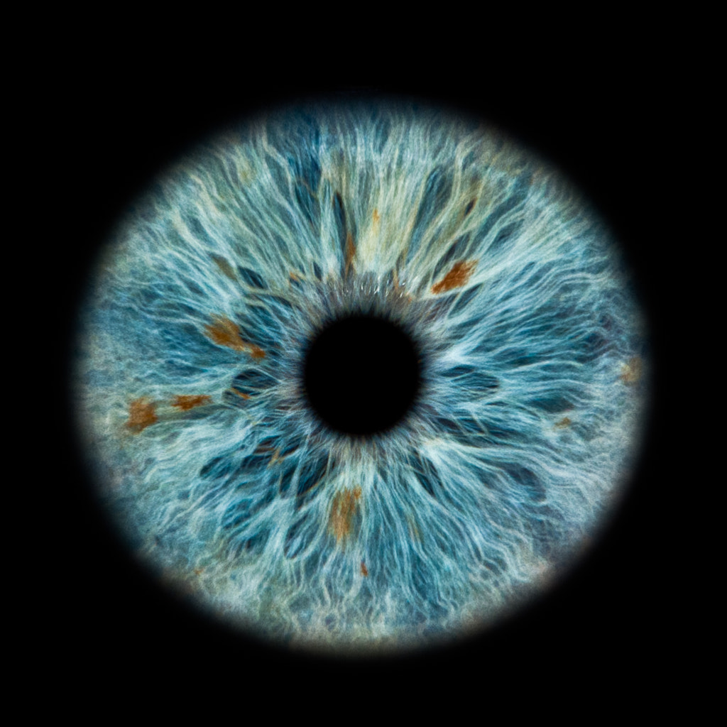 Yann's personnal planet by Vincent CROS / 500px