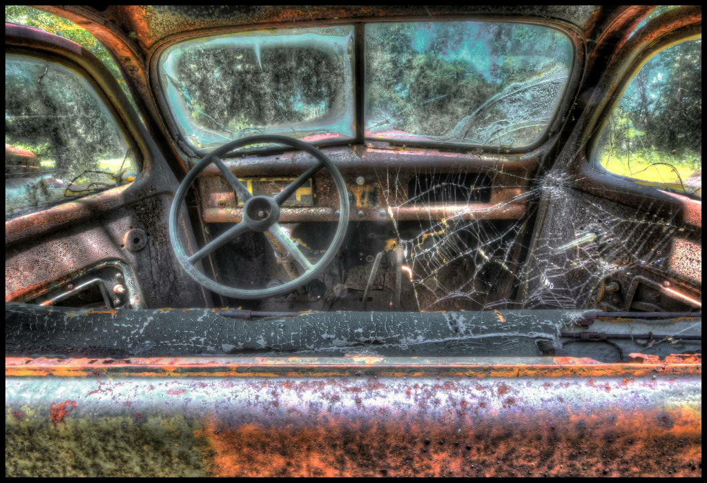 View on black to see the spider web in the lower right corner...my ...